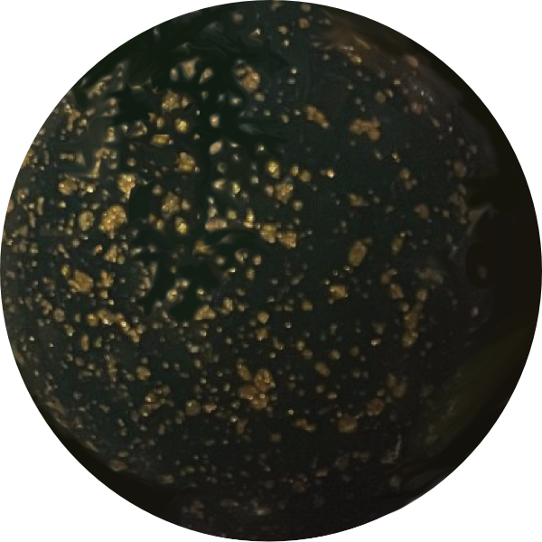 Apple Crumble Chocolates Gift Box - Pendragon Drinks